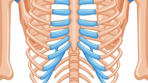 Tout comprendre sur le syndrome de Cyriax : ostéopathie et conseil
